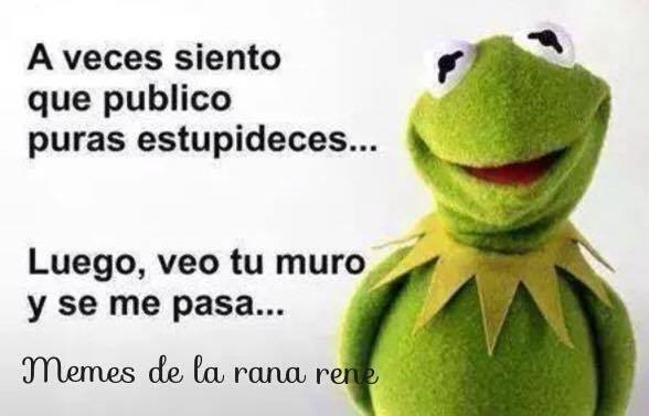 Los mejores memes de la rana René para compartir en Facebook