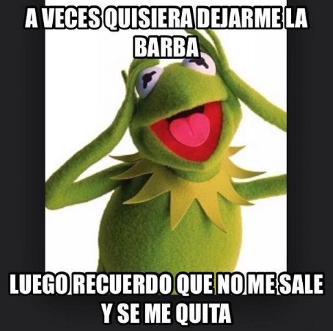 Los mejores memes de la rana René para compartir en Facebook