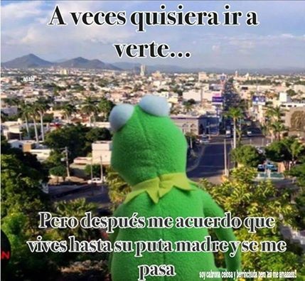 Los mejores memes de la rana René para compartir en Facebook