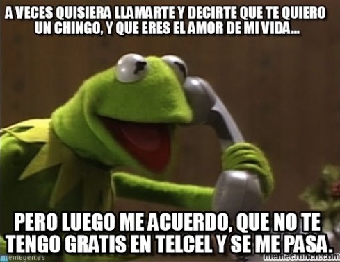 Los mejores memes de la rana René para compartir en Facebook