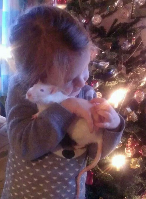 10 Hermosos datos que harán que veas a las Ratas con ojos de amor | Es ...