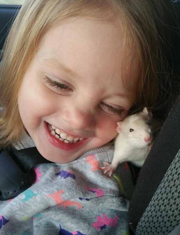 10 Hermosos datos que harán que veas a las Ratas con ojos de amor | Es ...