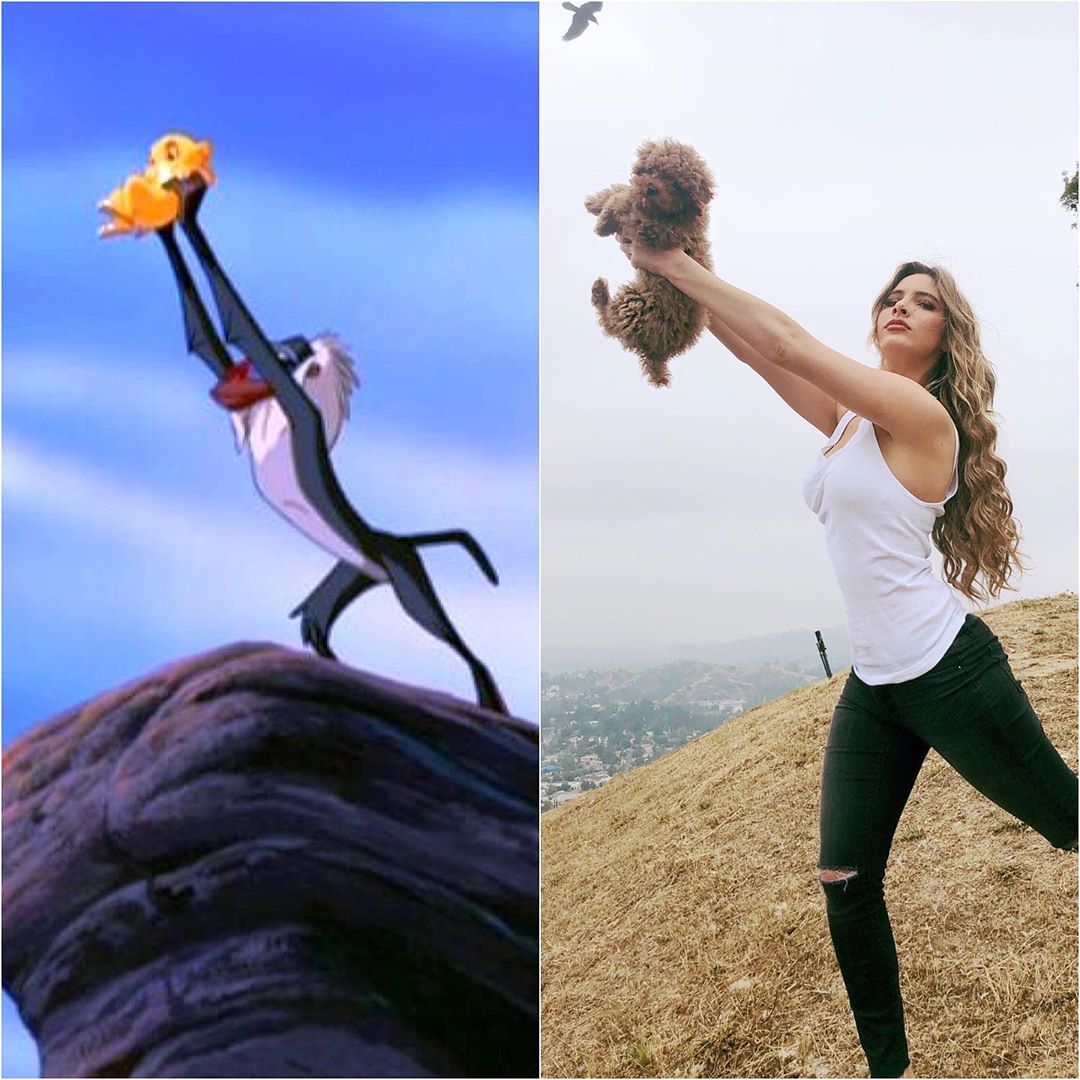 Lele Pons se ha convertido en la nueva versión de Rafiki de ‘El Rey ...