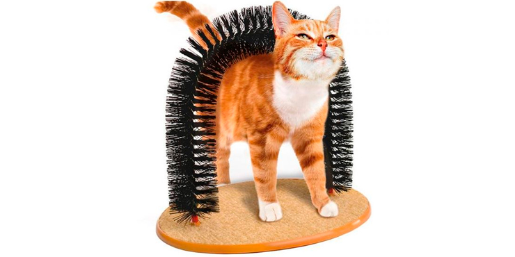 Cositas que necesitas conseguirle a tu Michi para hacerlo feliz | Es la ...