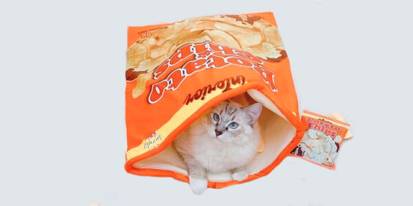 Camas de michi que te convertirán en la mejor Karen del mundo | Es la Moda