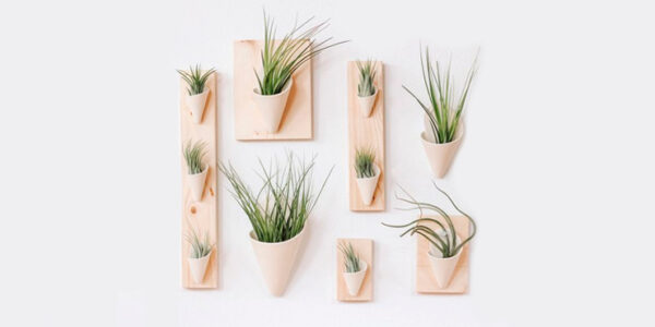 Ideas para decorar tus paredes con plantas | Es la Moda