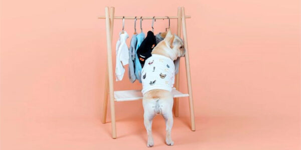 Cositas que no sabías que querías regalarle a tu perrhijo | Es la Moda