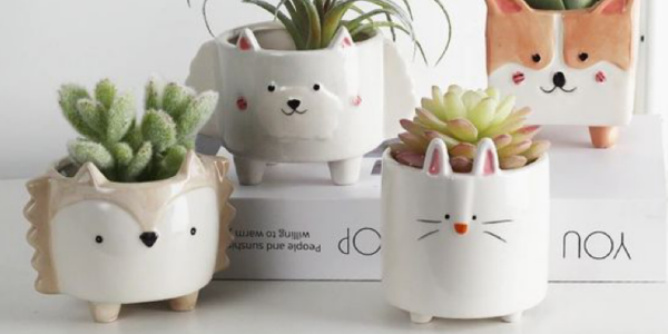 Macetitas cute que te convencerán de comprar una suculenta | Es la Moda