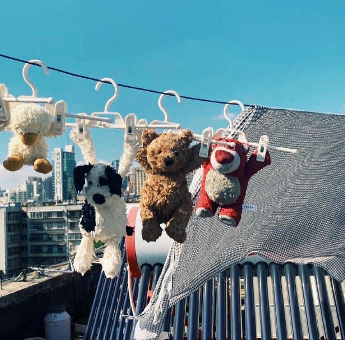 Fotos ultra random que necesitas en tu vida | Es la Moda